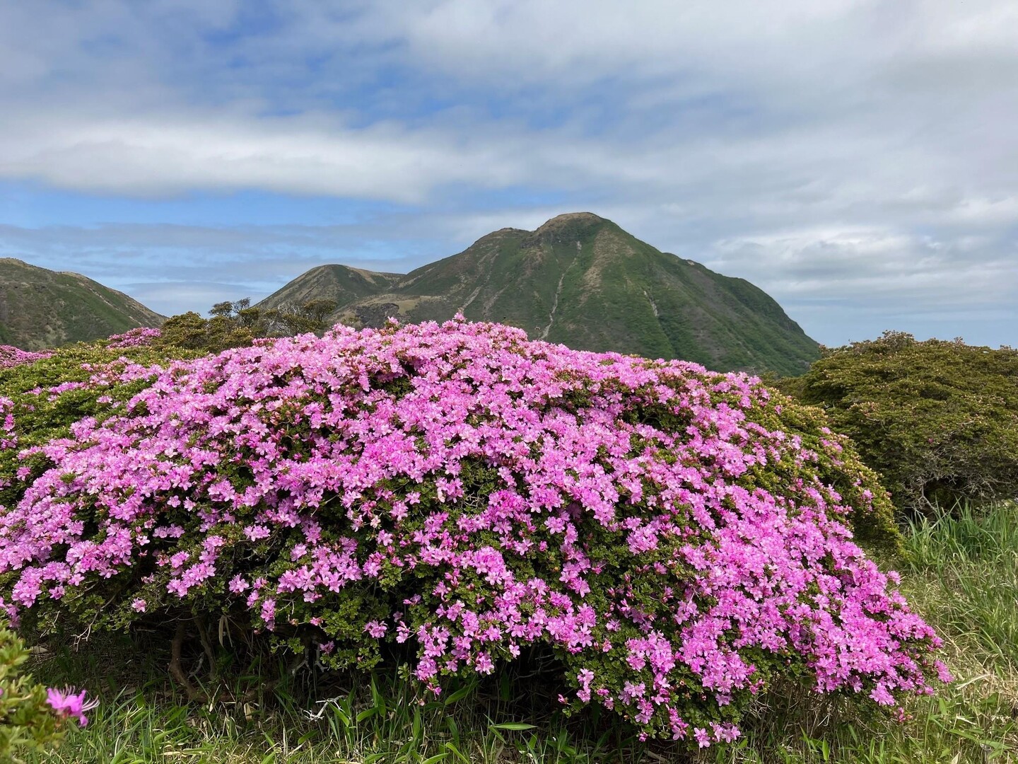 1Day 17 三俣山（西峰）・三俣山（Ⅳ峰）・三俣山（本峰）・三俣山（南峰）・大船山・北大船山・立中山・白口... / S.ヒロさんの九重山（久住山）・大船山・星生山の活動データ ...