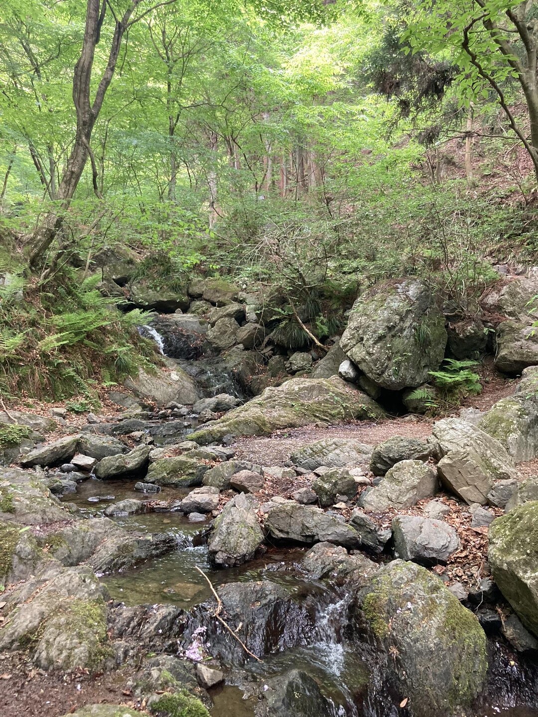 2023.07.11(火) 09:31 / Kota.Yさんのモーメント | YAMAP / ヤマップ