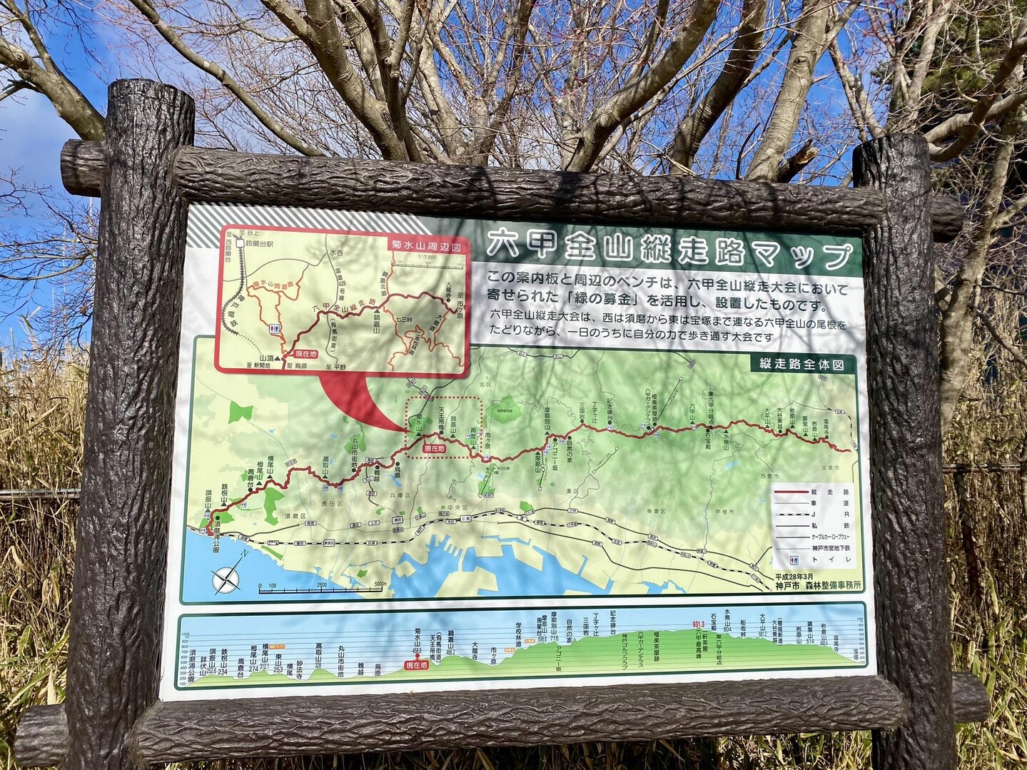 一人六甲全縦大会🎊 （STM） / カネゴンさんの六甲山・長峰山・摩耶山の活動データ | YAMAP / ヤマップ