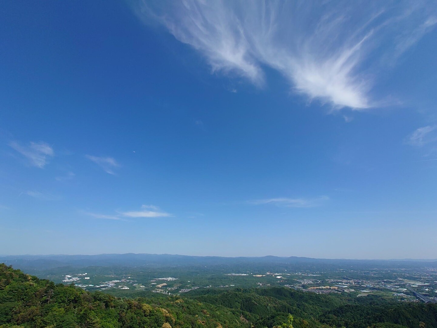 猿投山往復ビンタ / talviさんの猿投山・物見山の活動データ | YAMAP / ヤマップ
