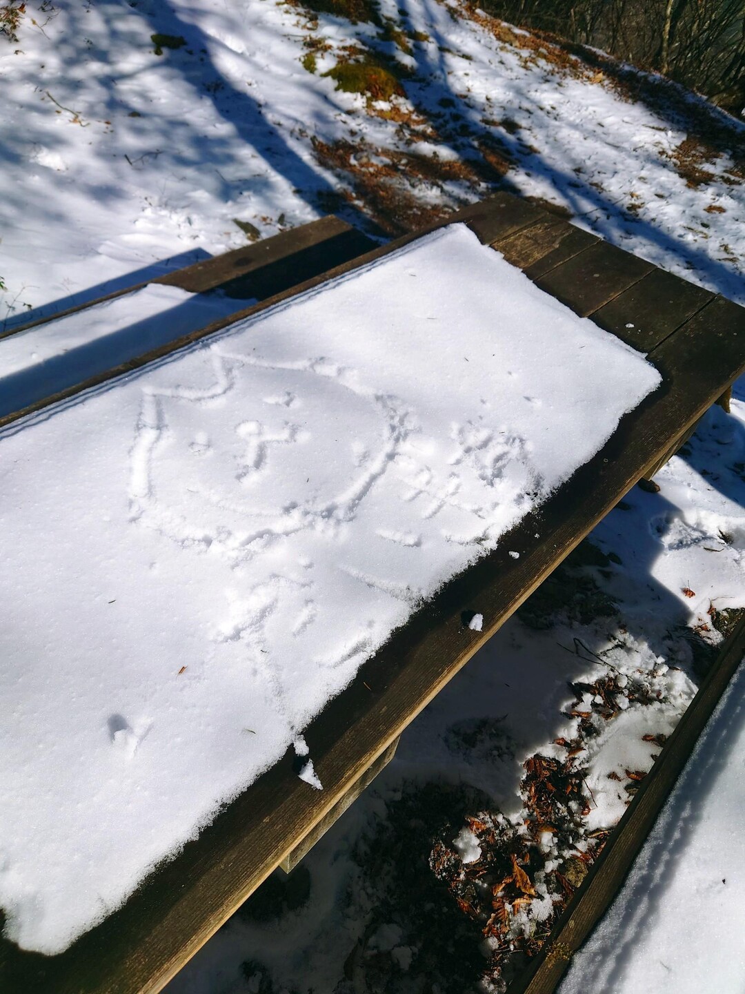 2025(2015)元日 / だいきちさんの蕎麦粒山・三合山・高塚山の活動データ | YAMAP / ヤマップ