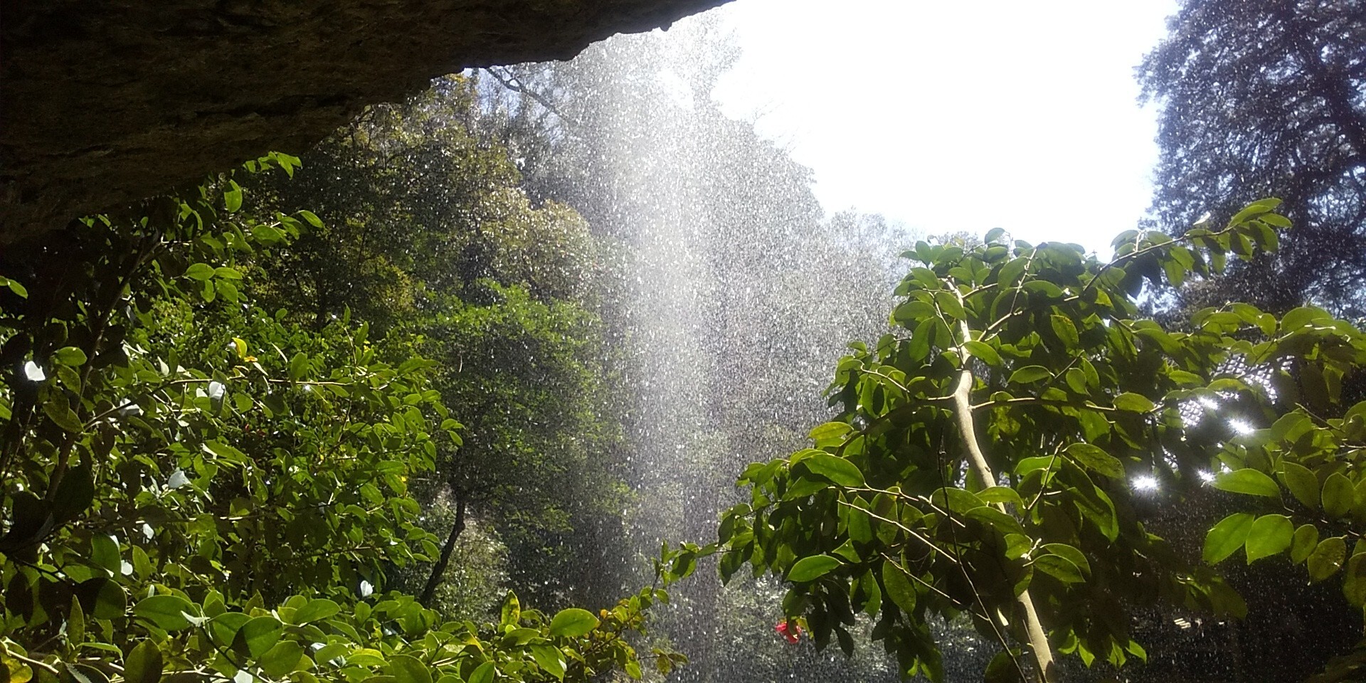 神秘的な桜滝🌸 / tottinさんの猿山の活動データ | YAMAP / ヤマップ