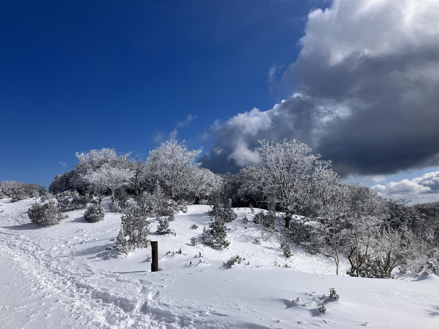 三方山・小倉山・養老山 / とりさんさんの養老山・笙ヶ岳・三方山の活動日記 | YAMAP / ヤマップ