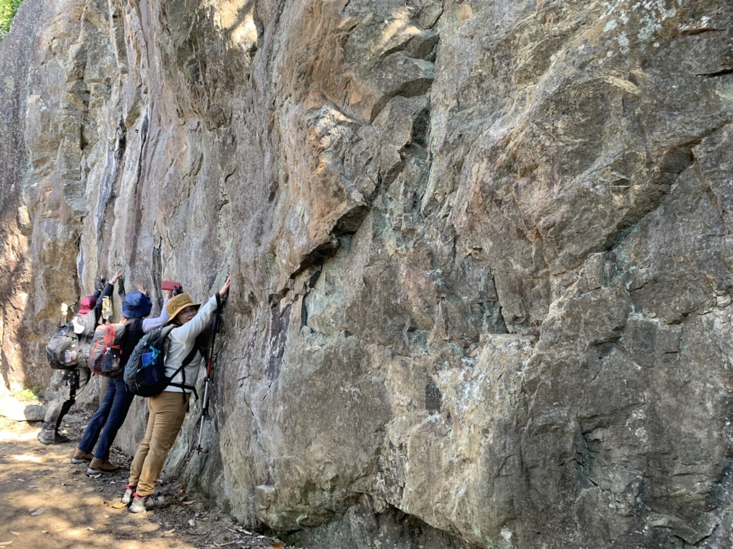 行者山・剣尾山・横尾山 / ERIKOさんの剣尾山・横尾山・行者山の活動日記 | YAMAP / ヤマップ