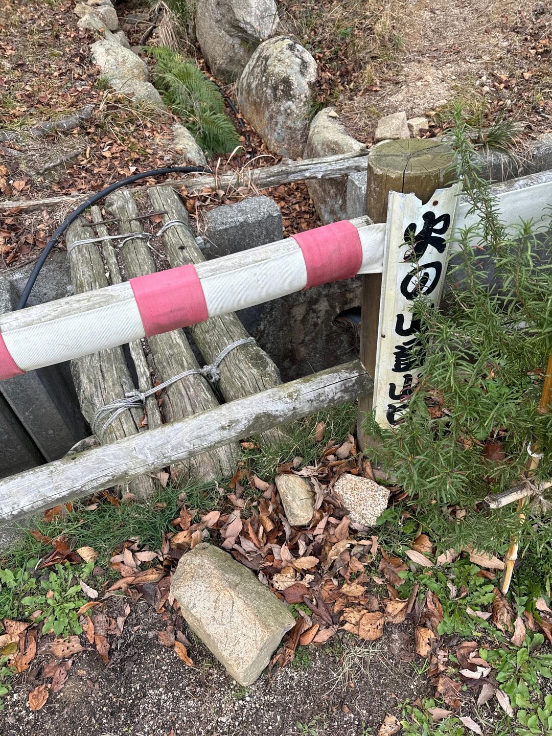 火の山 / shunさんの火の山・陶ヶ岳の活動日記 | YAMAP / ヤマップ