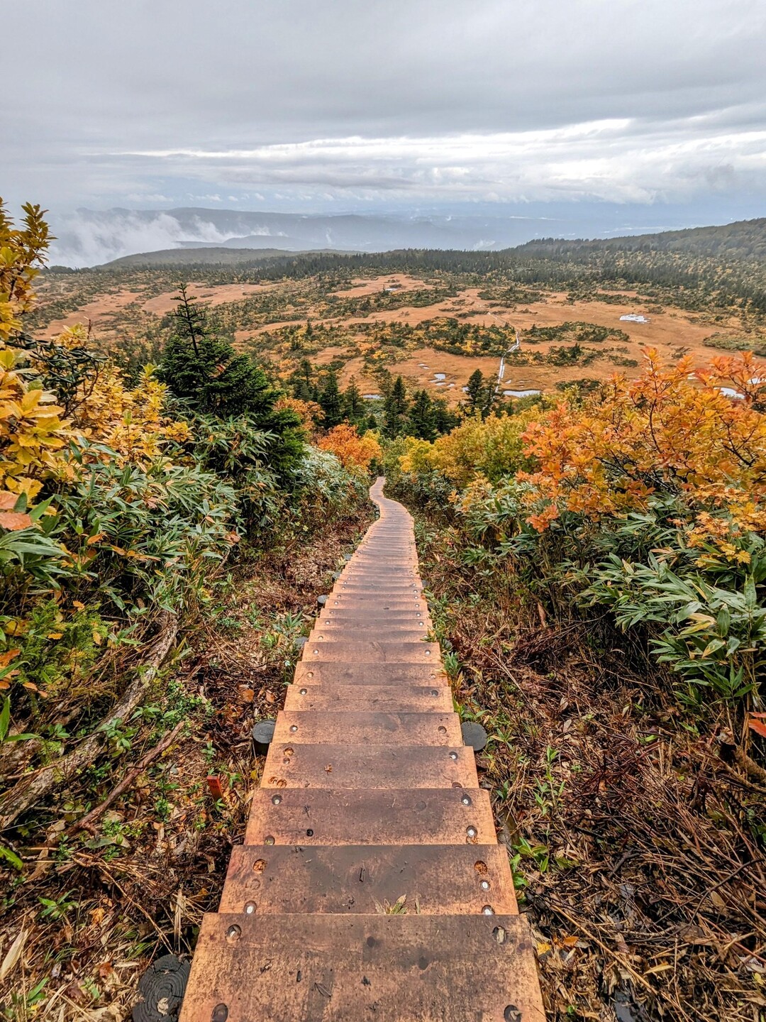 🥰八甲田山💦日本百名山#84 / "satoh"さんの八甲田山・高田大岳・雛岳の活動データ | YAMAP / ヤマップ
