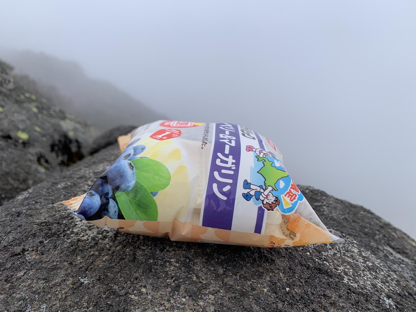 【比羅夫】え？晴れるって聞いて来たんですけど😭 / myq.さんの羊蹄山（蝦夷富士）の活動データ | YAMAP / ヤマップ