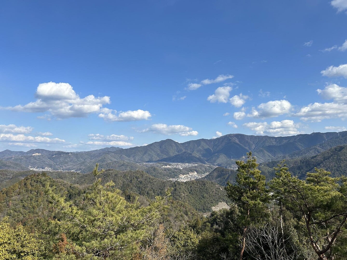 福王寺山 / KAZU3さんの福王寺山の活動データ | YAMAP / ヤマップ