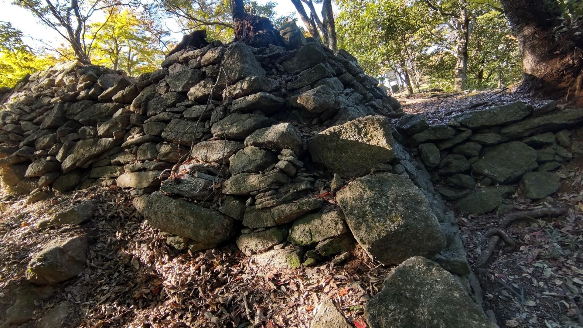 大給城から岩谷山のはずが… 2023-10-24 / ikoanさんの六所山・炮烙山の活動データ | YAMAP / ヤマップ