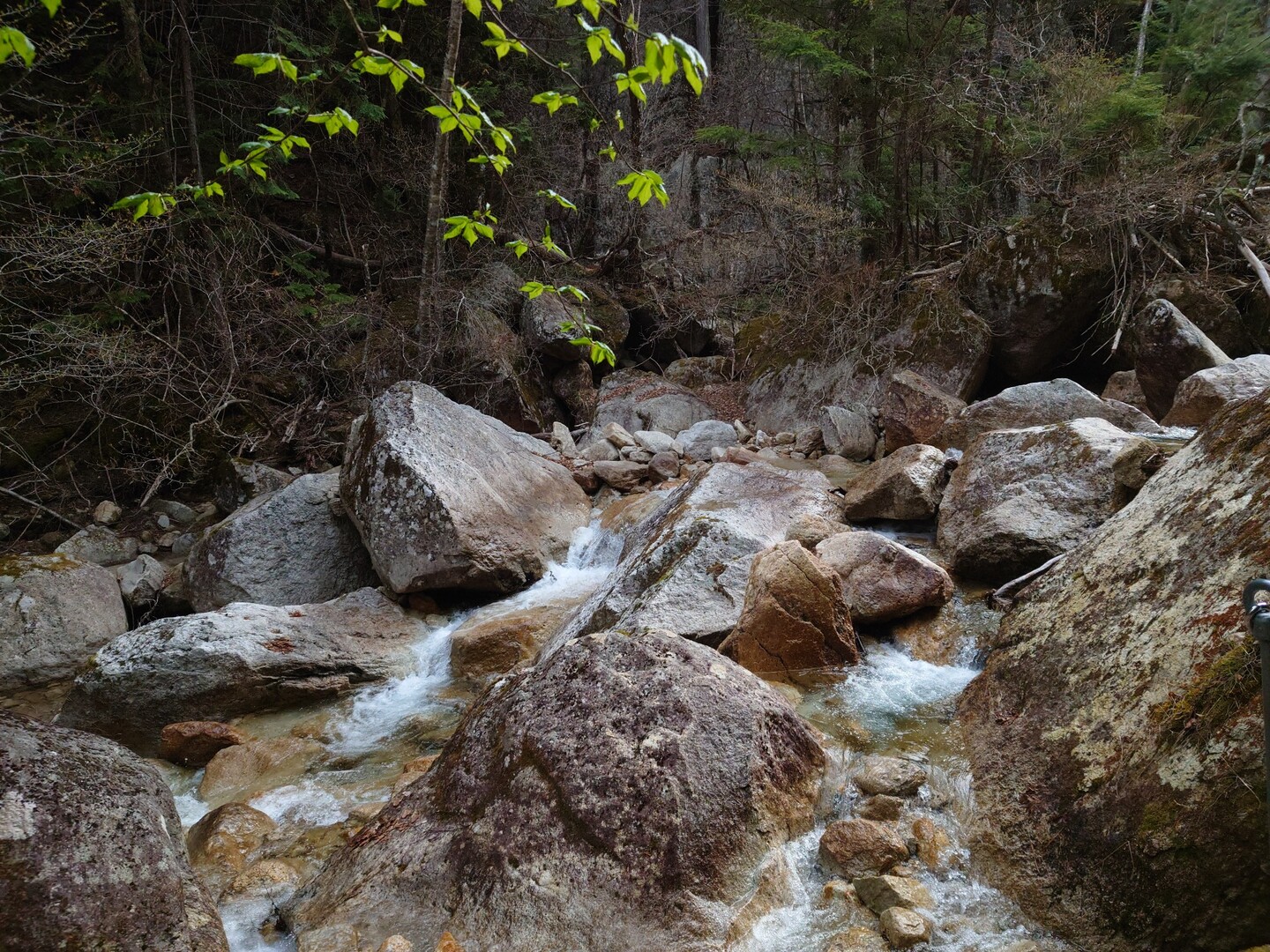 Kai.yさんの投稿したフィールドメモ | YAMAP / ヤマップ