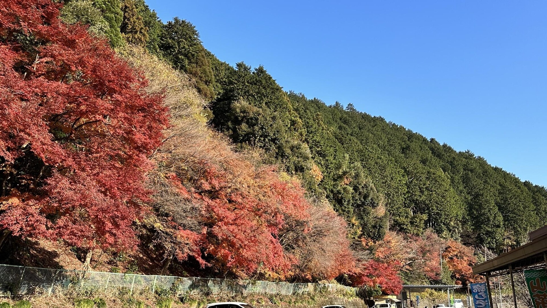 三方山・小倉山・養老山・北尾根P826峰 / mirokuさんの養老山・笙ヶ岳・三方山の活動データ | YAMAP / ヤマップ