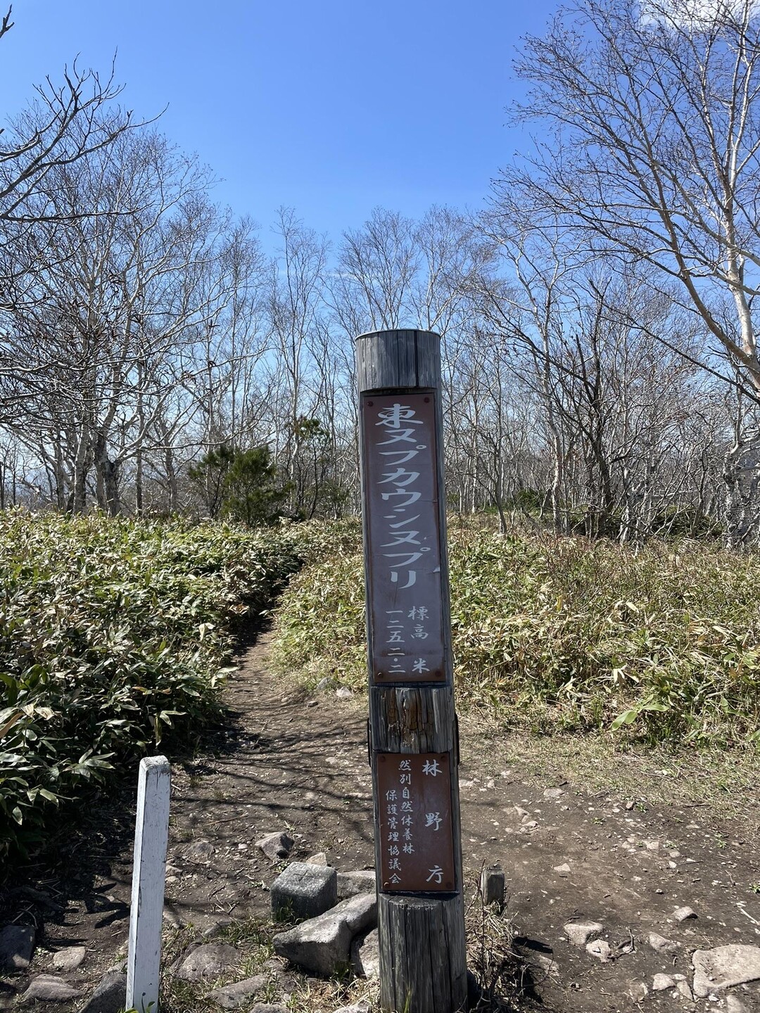 おかわりの東ヌプカウシヌプリ / akorenaさんの白雲山の活動データ | YAMAP / ヤマップ