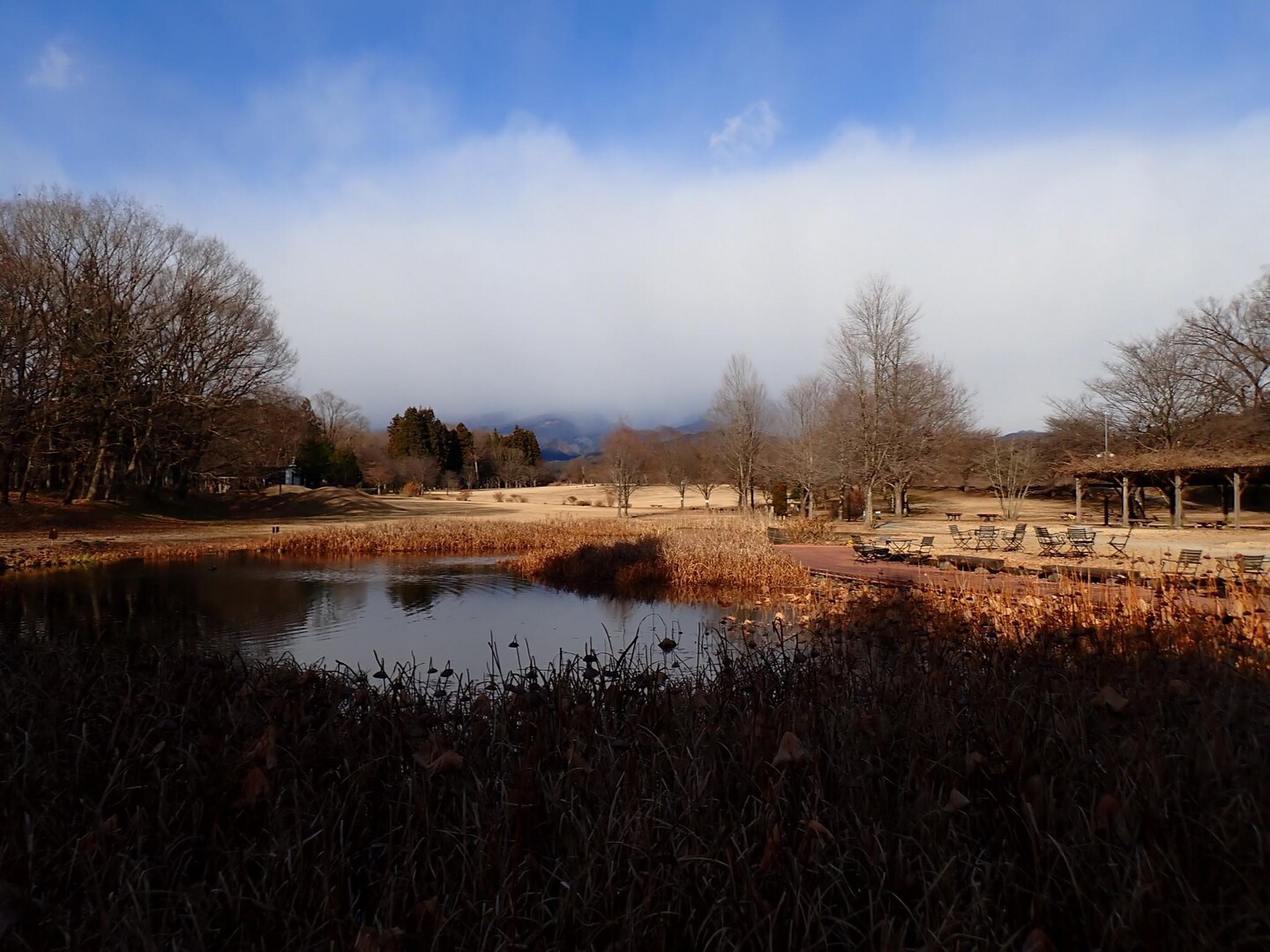 大谷川公園ウォーキング-12-22 / METAL-渓山さんのウォーキングの活動データ | YAMAP / ヤマップ