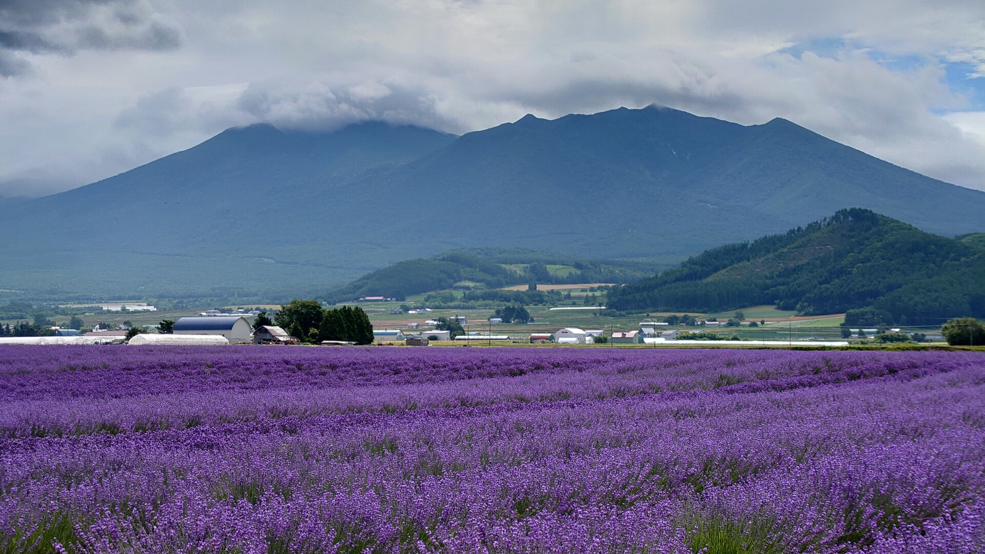 富良野 https://youtu.be... / 還暦少年さんのモーメント | YAMAP / ヤマップ