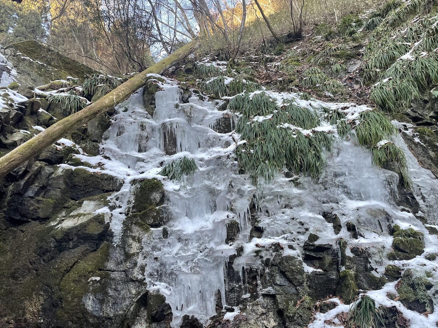 金剛山もみじ谷⤴️狼谷⤵️ / do-kichi(どおきち)さんの金剛山・二上山・大和葛城山の活動データ | YAMAP / ヤマップ