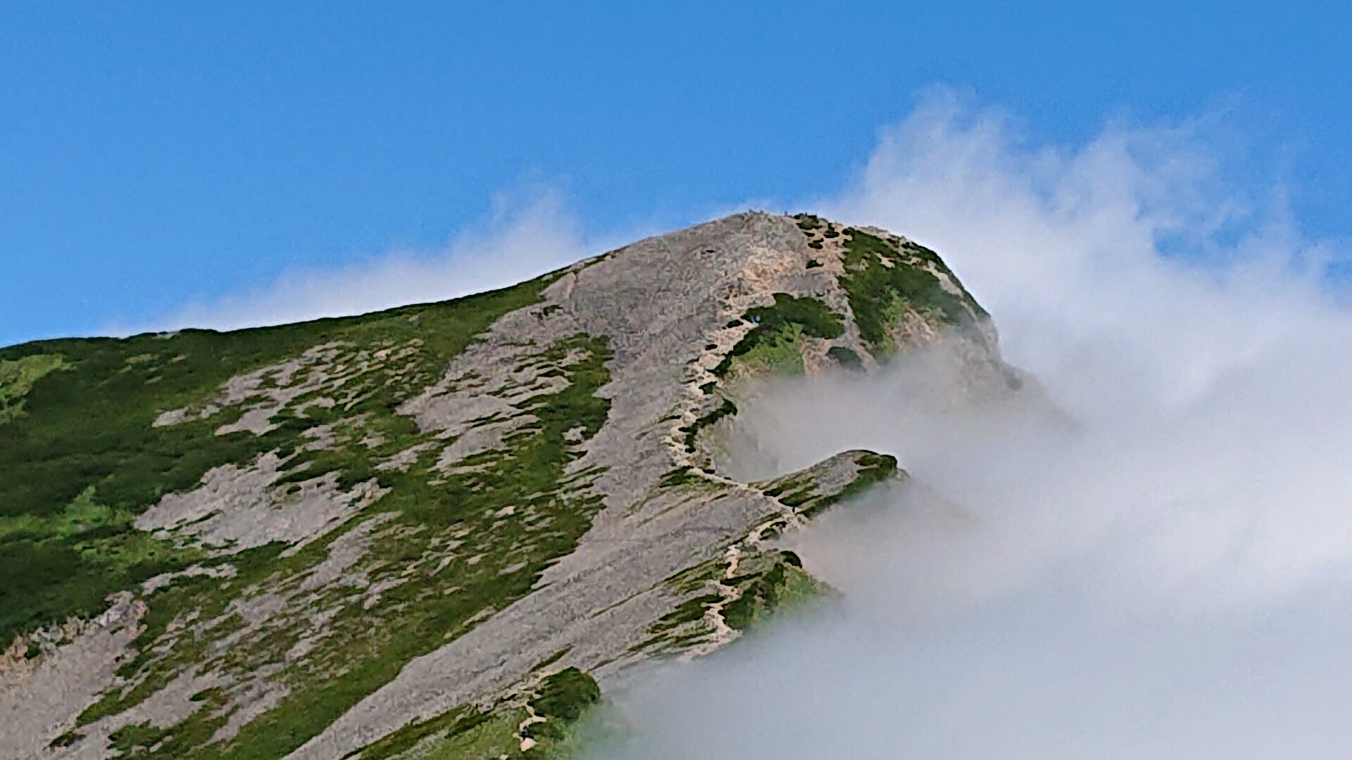 鹿島槍ヶ岳（南峰）大谷原ピストン / tmykさんの鹿島槍ヶ岳・五竜岳（五龍岳）・唐松岳の活動データ | YAMAP / ヤマップ