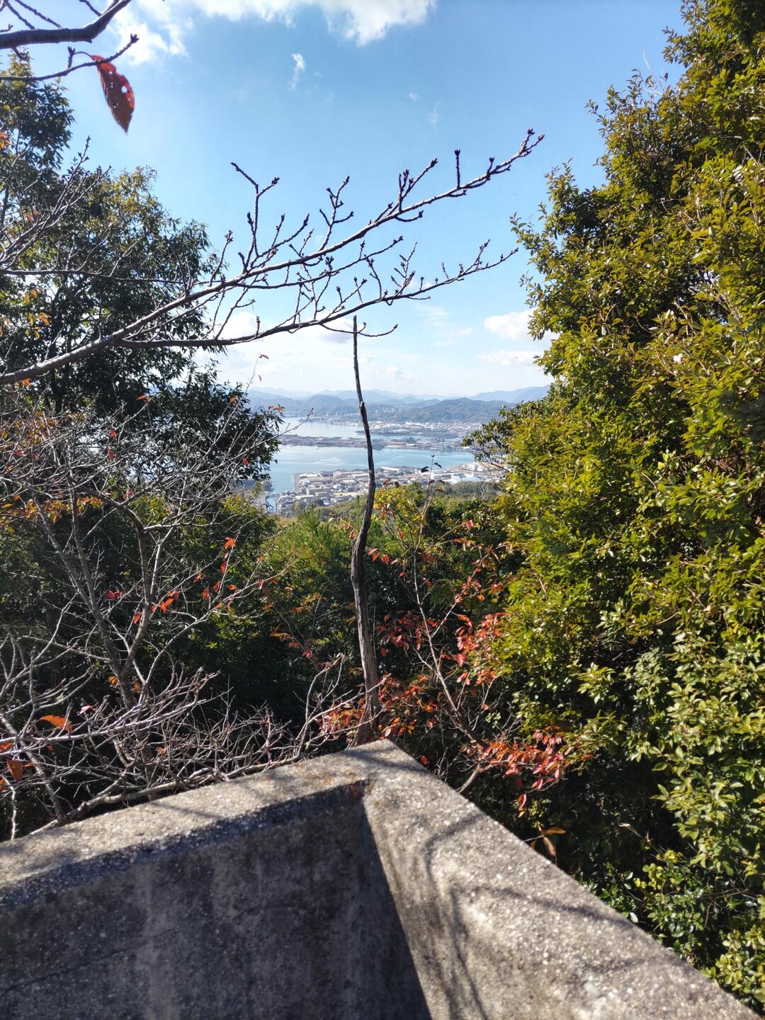 コースガイド100#10竜王山~緑陽公園 / ohkenさんの彦山・臼木山の活動日記 | YAMAP / ヤマップ