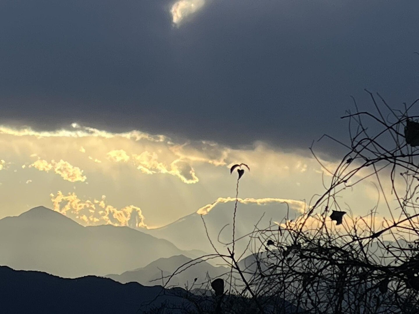 稲荷山・高尾山・神変山 誕生会🎂とダイヤモンド富士🗻狙い / aromaさんの高尾山・陣馬山・景信山の活動日記 | YAMAP / ヤマップ