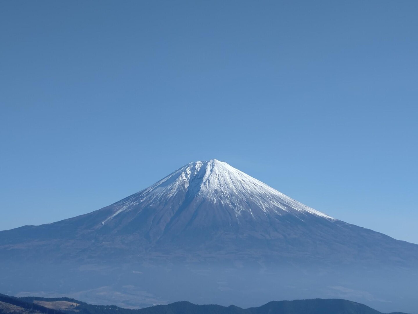 佐野峠から思親山、井出駅ヘ / kamoさんの思親山・三石山の活動データ | YAMAP / ヤマップ