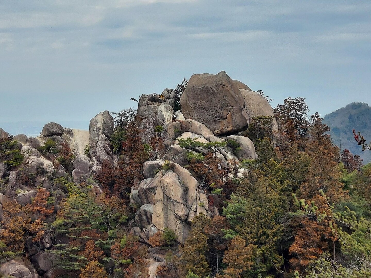 子鶏冠山・鶏冠山・天狗岩・竜王山 / ree-koさんの金勝アルプス（鶏冠山・竜王山）の活動日記 | YAMAP / ヤマップ