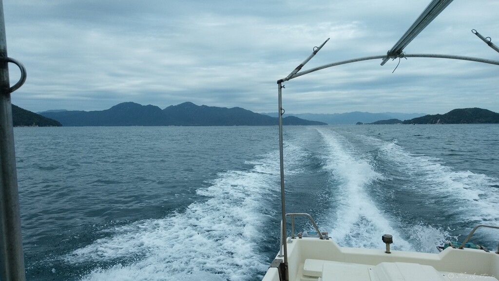 筏にかかっての鯵・鯖ねらいだったけれど ... / Kanameさんのモーメント | YAMAP / ヤマップ