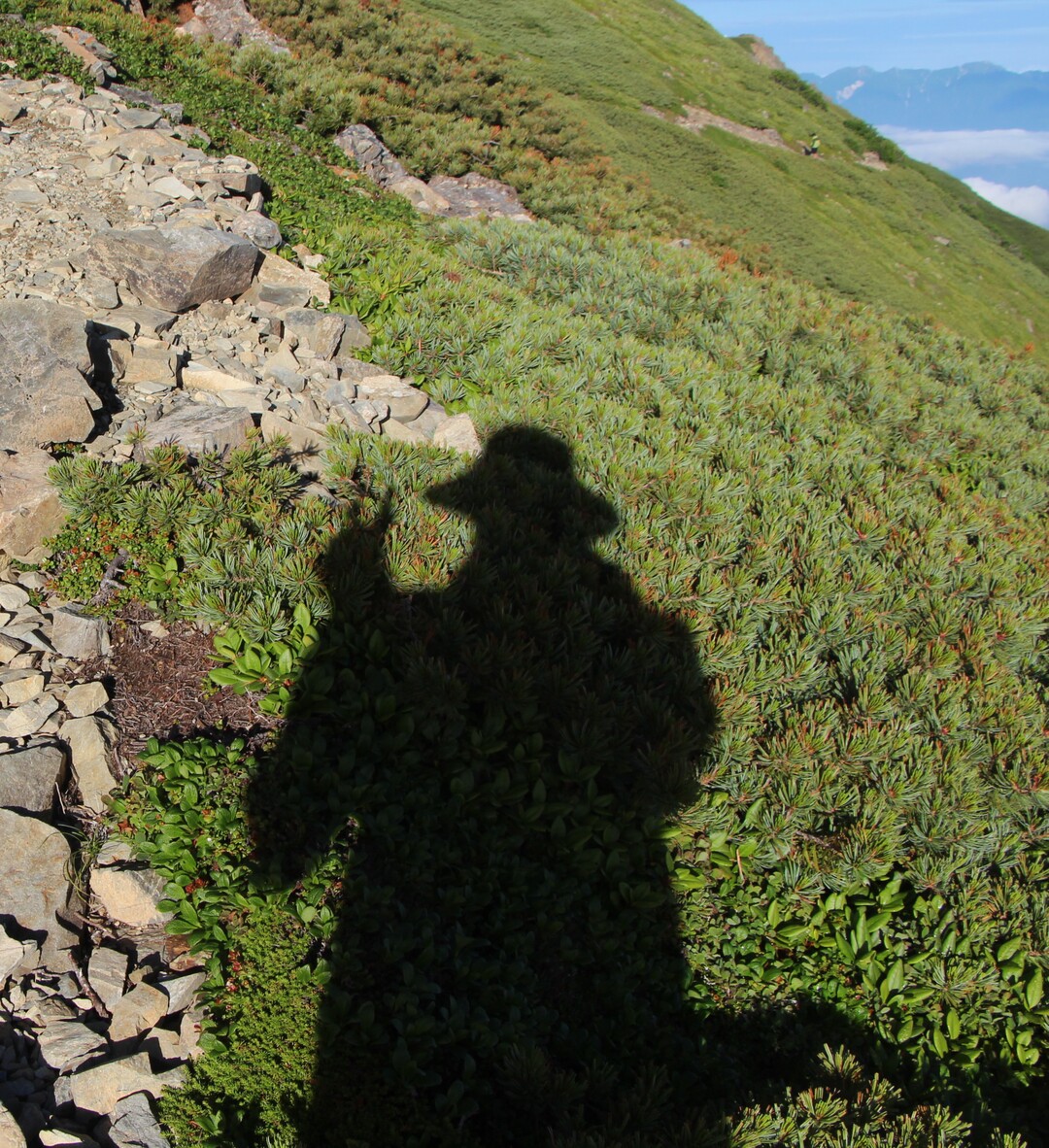 T-1のページ | YAMAP / ヤマップ