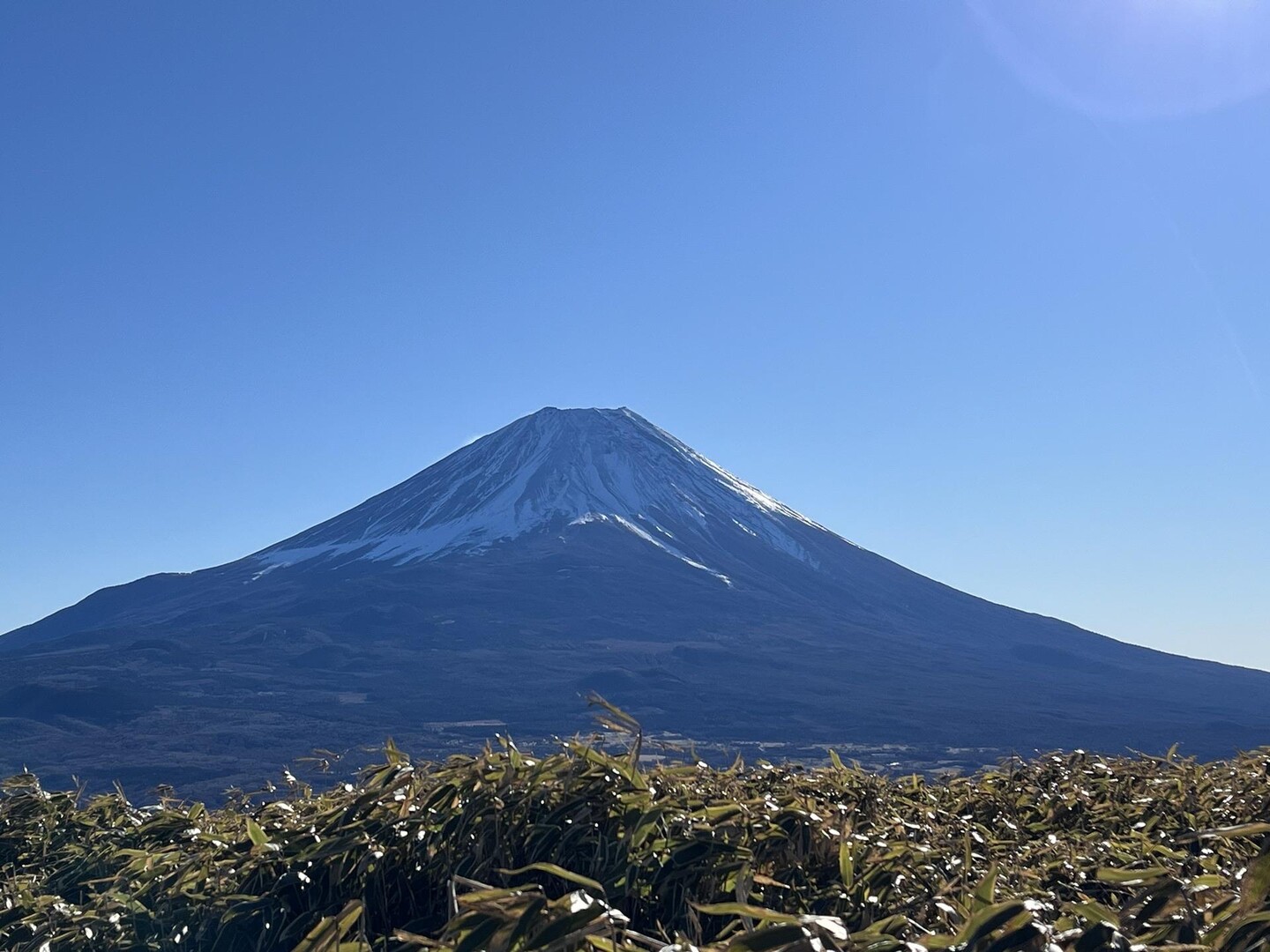 竜ヶ岳 / kazuponさんの毛無山・雨ヶ岳・竜ヶ岳の活動データ | YAMAP / ヤマップ