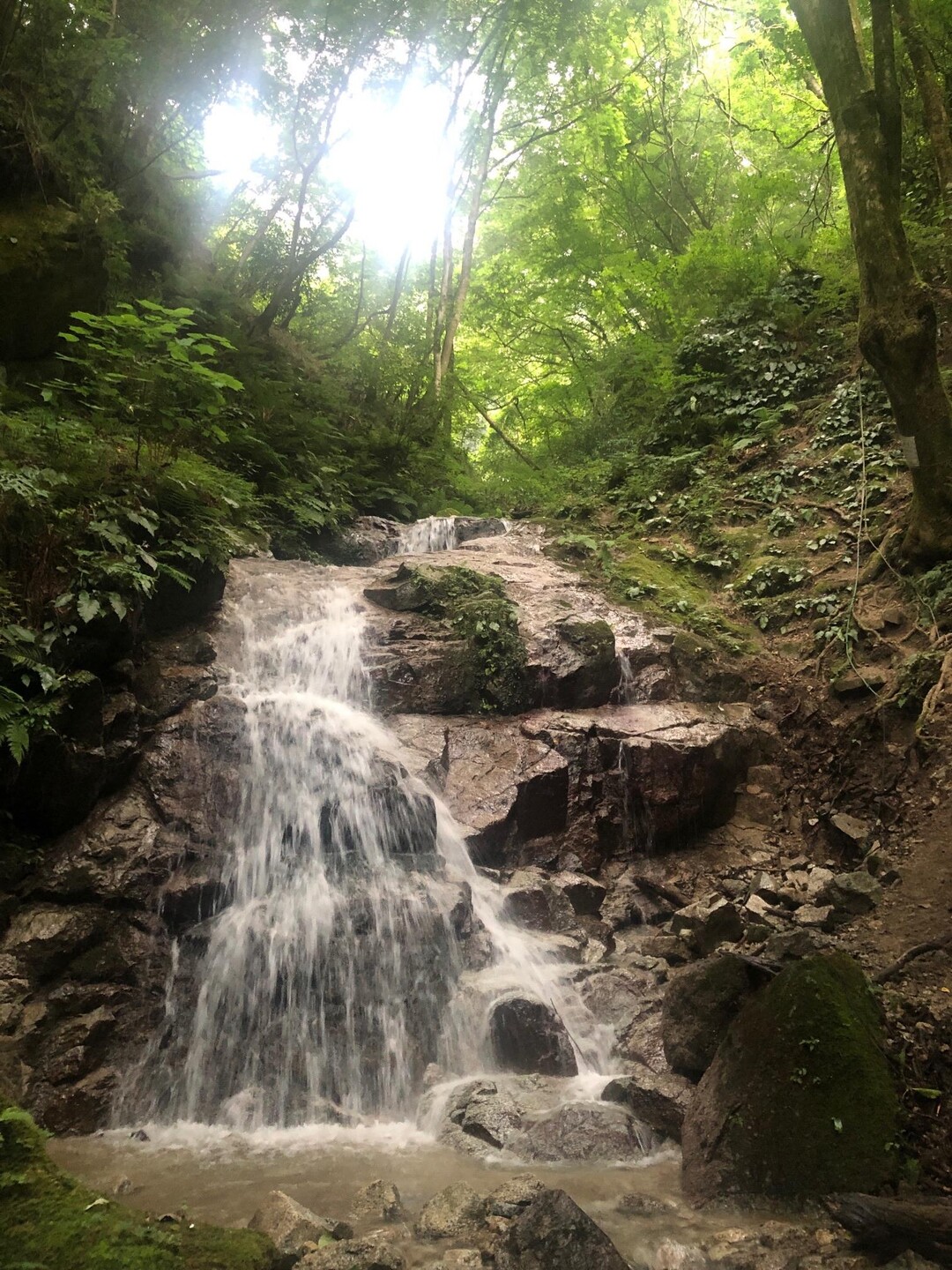 R6-No.12 大日岳・金剛山 / シゲさんsanさんの金剛山・二上山・大和葛城山の活動データ | YAMAP / ヤマップ