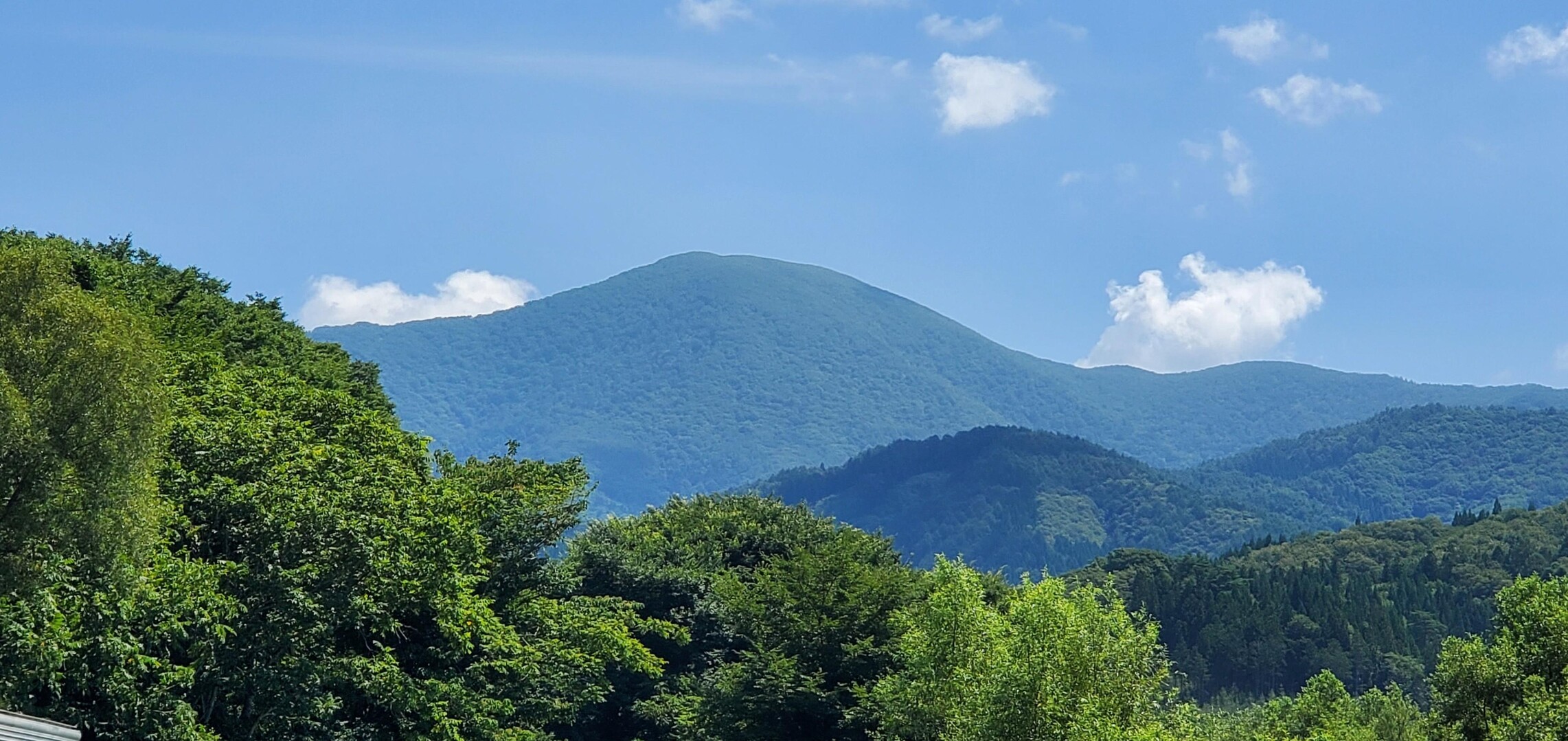 六角牛山周回 1,293m / ケンさんの六角牛山の活動データ | YAMAP / ヤマップ