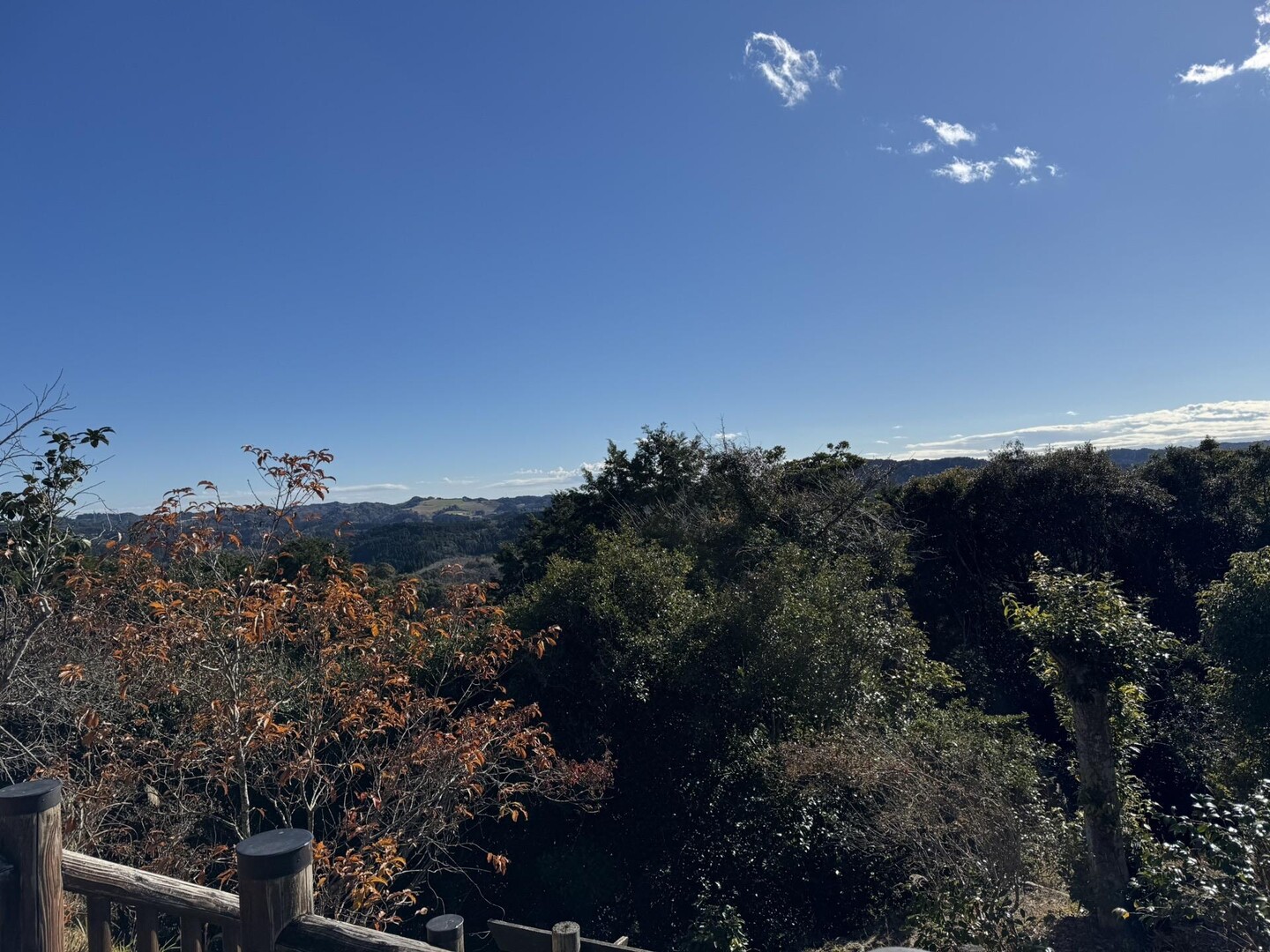 いちはらクォードの森 / kaoさんのウォーキングの活動データ | YAMAP / ヤマップ