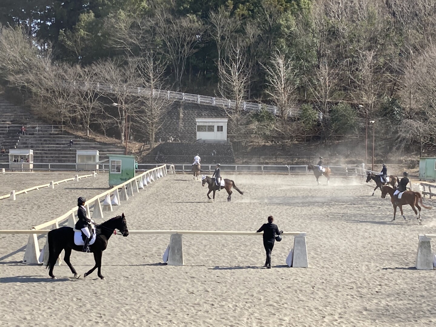 馬場馬場の競技会が、神奈川県の津久井で開... / Beni-512さんのモーメント | YAMAP / ヤマップ
