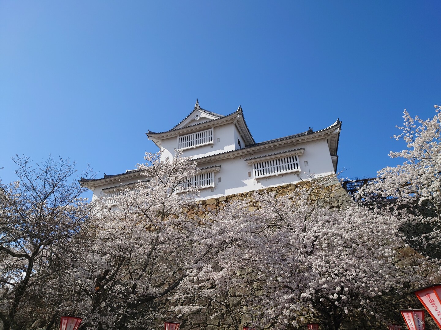 津山城さくらまつり すごい人、人、人でし... / Ken16さんのモーメント | YAMAP / ヤマップ