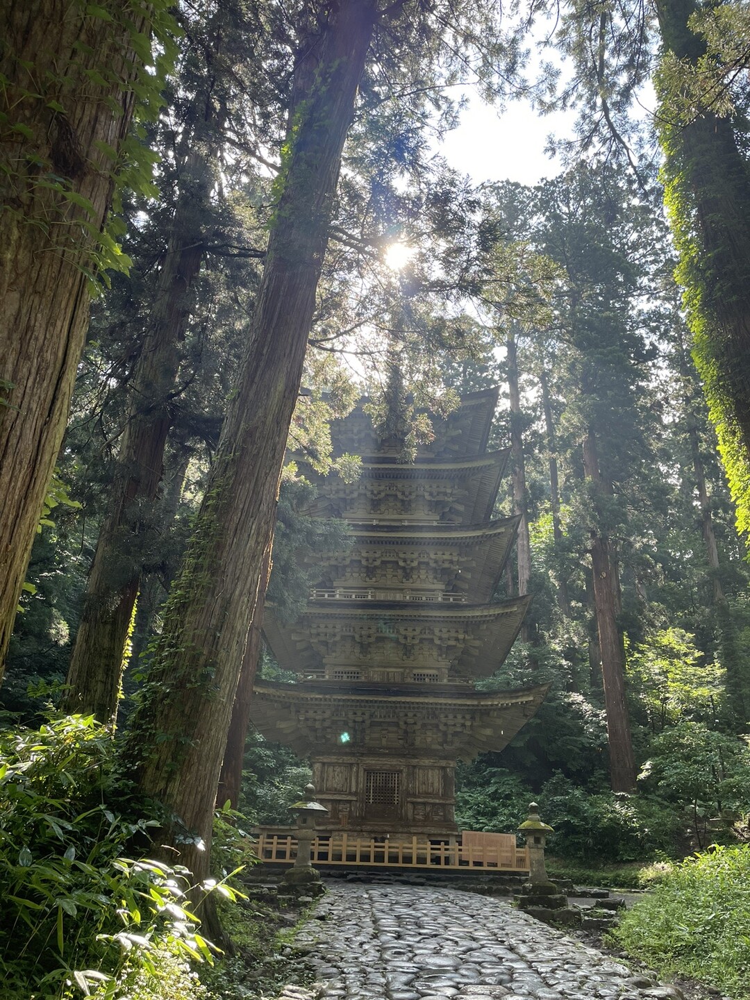 羽黒山 / Yuminaさんのウォーキングの活動データ | YAMAP / ヤマップ