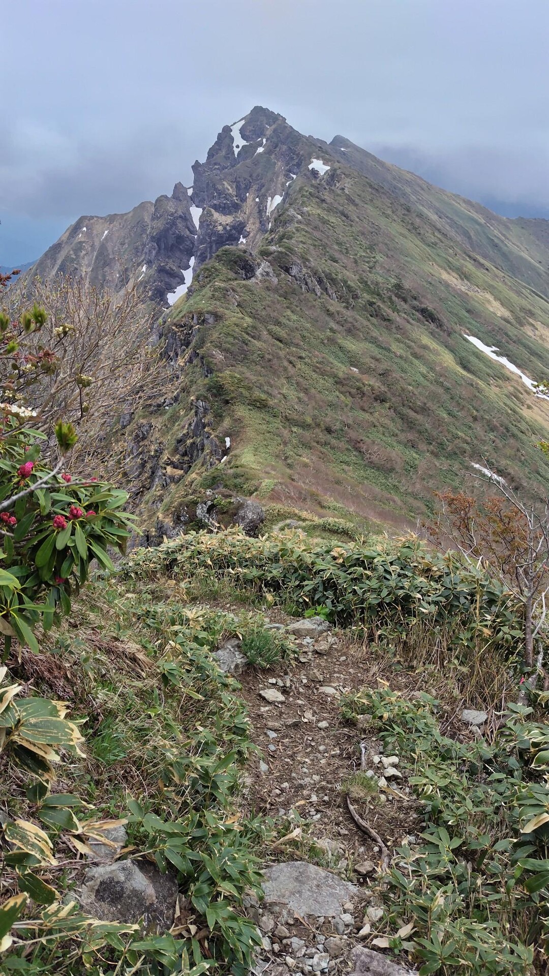 赤城颪さんの投稿したフィールドメモ | YAMAP / ヤマップ