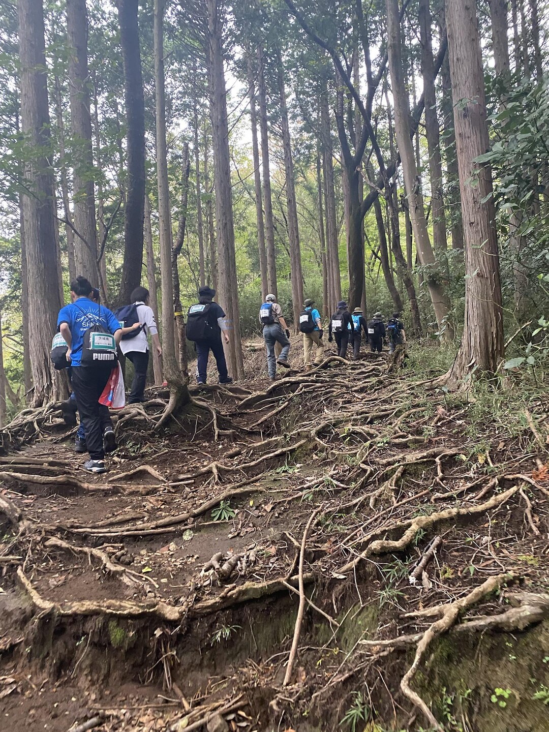 関東登山大会 2024 湯坂山・城山(箱根町)・浅間山・鷹巣山 / wariさんの箱根山・神山の活動日記 | YAMAP / ヤマップ