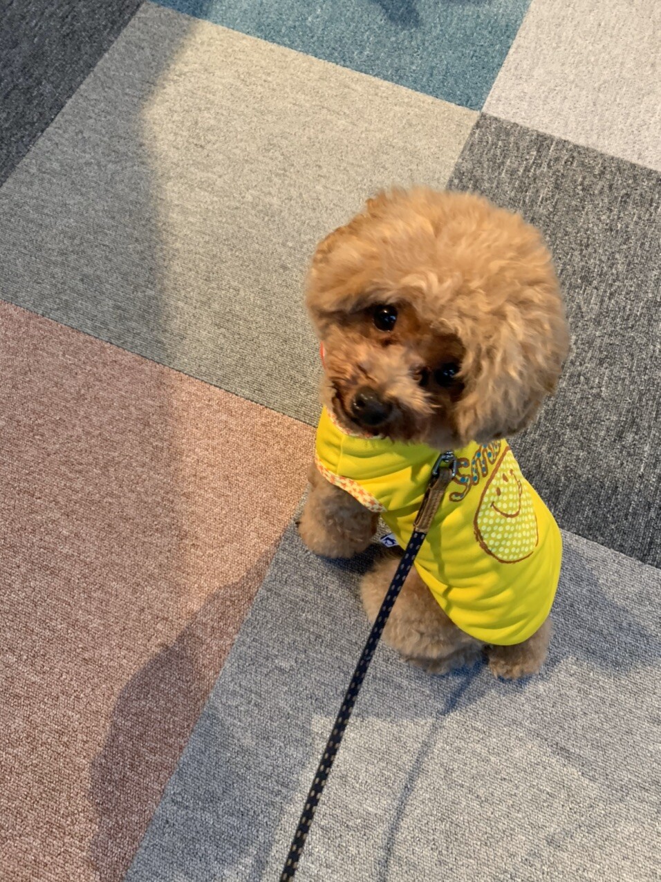 ma-tinのページ | YAMAP / ヤマップ