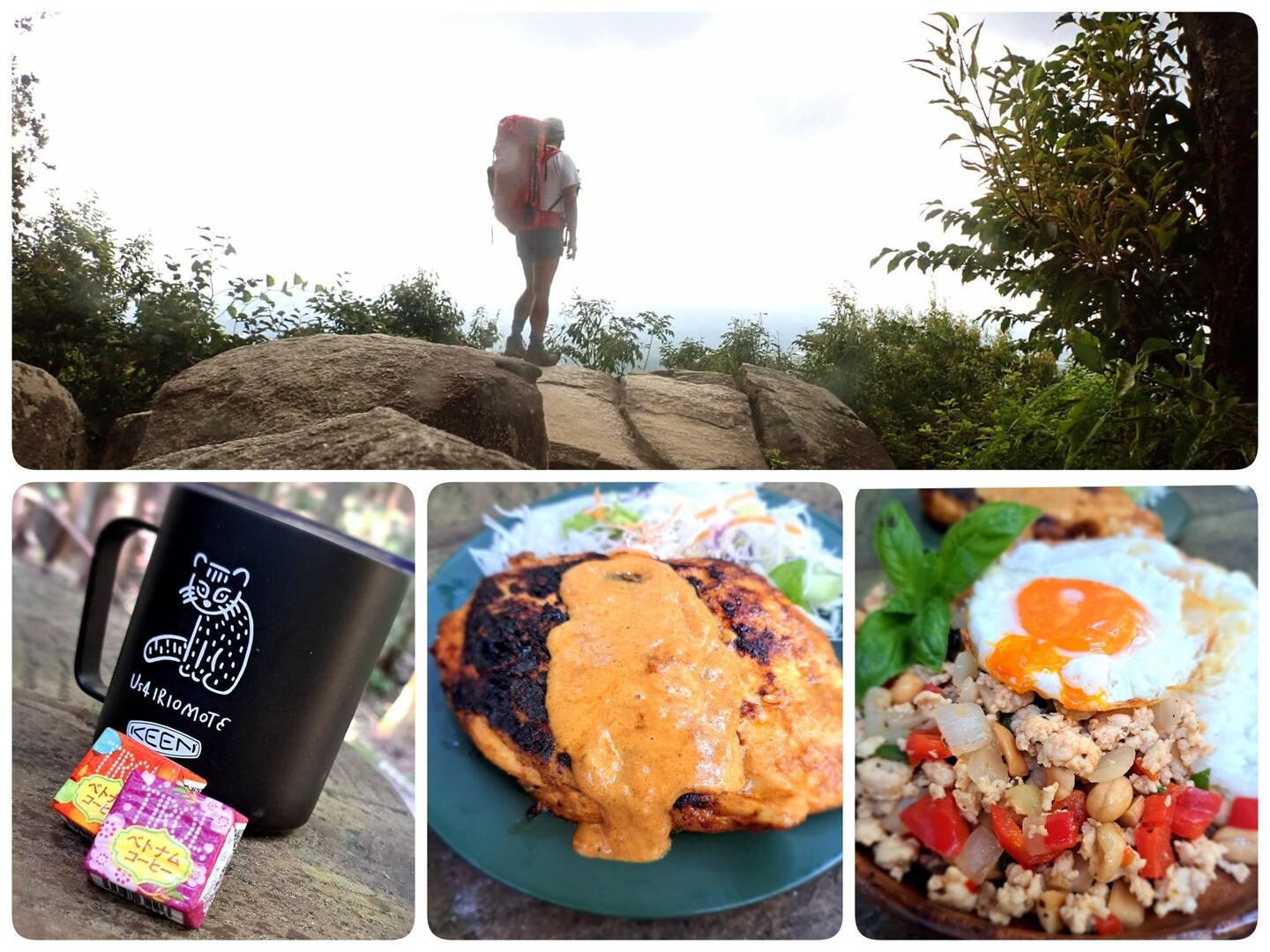 久しぶりの猿投山😆 / Cheさんの猿投山・物見山の活動日記 | YAMAP / ヤマップ