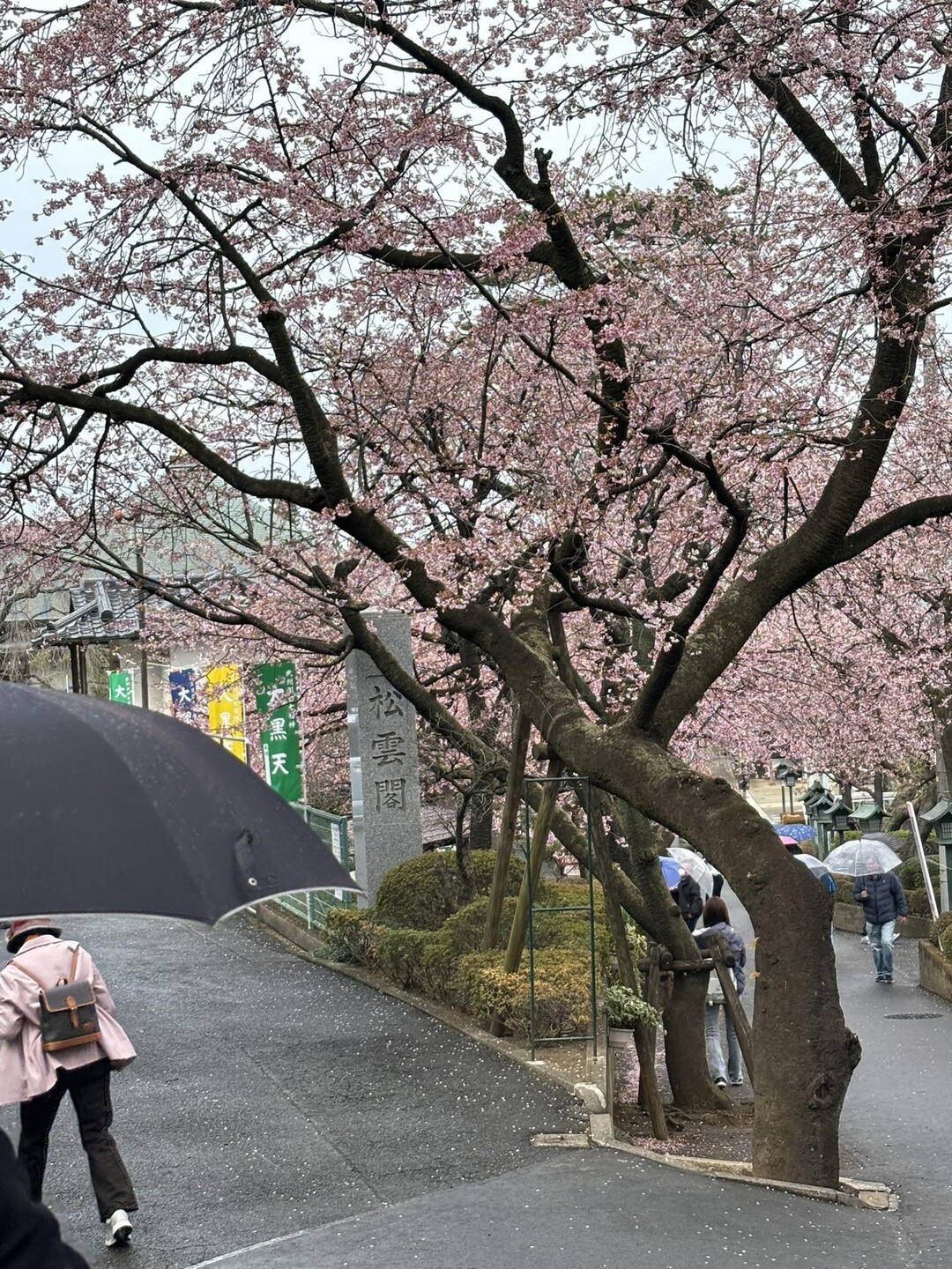昨日は、晴れたり曇ったり雨が降ったり…晴... / drankmonkeyさんのモーメント | YAMAP / ヤマップ