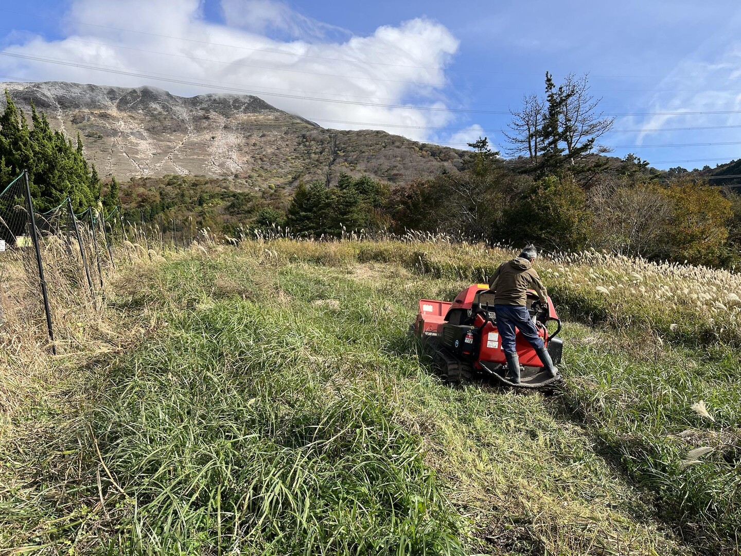R6.11.10 伊吹山3合目花の保全活... / オレンジリボンさんのモーメント | YAMAP / ヤマップ