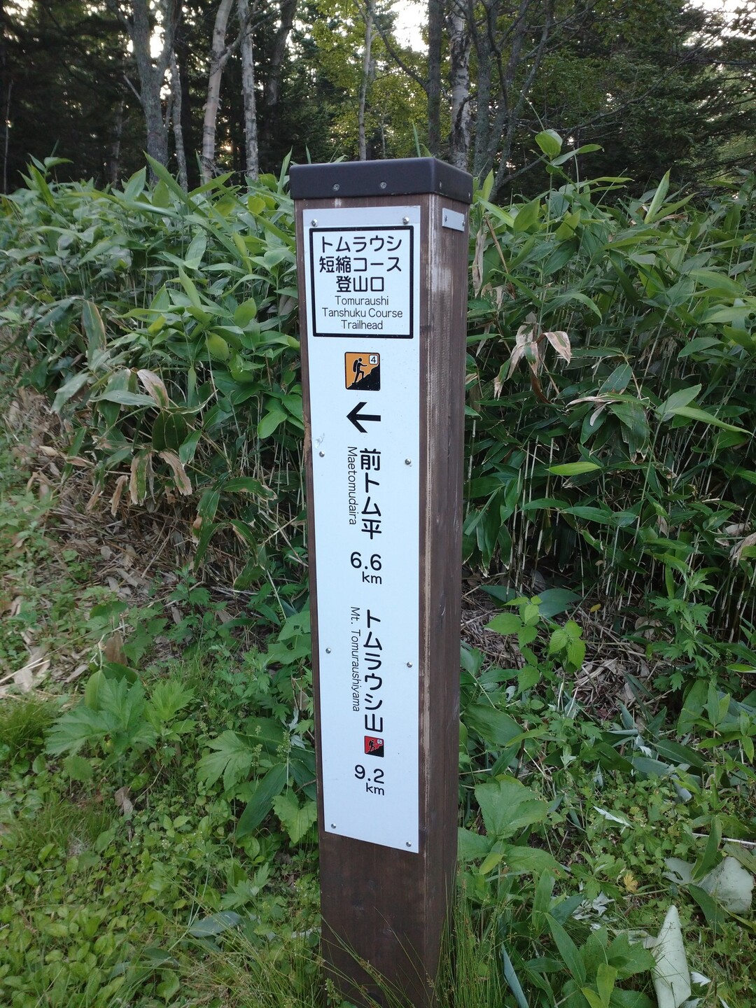 トムラウシ山 / りょうさんのGT3 2の活動データ | YAMAP / ヤマップ