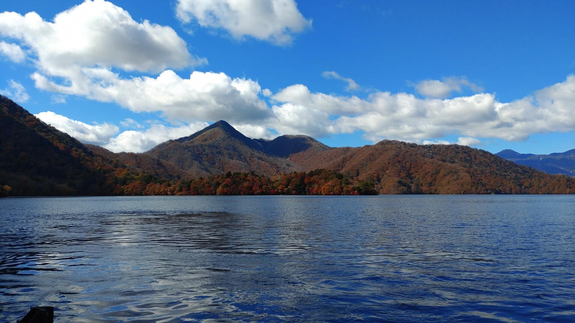 🐶愛犬と社山ピストン / y.zatoさんの社山・半月山の活動データ | YAMAP / ヤマップ