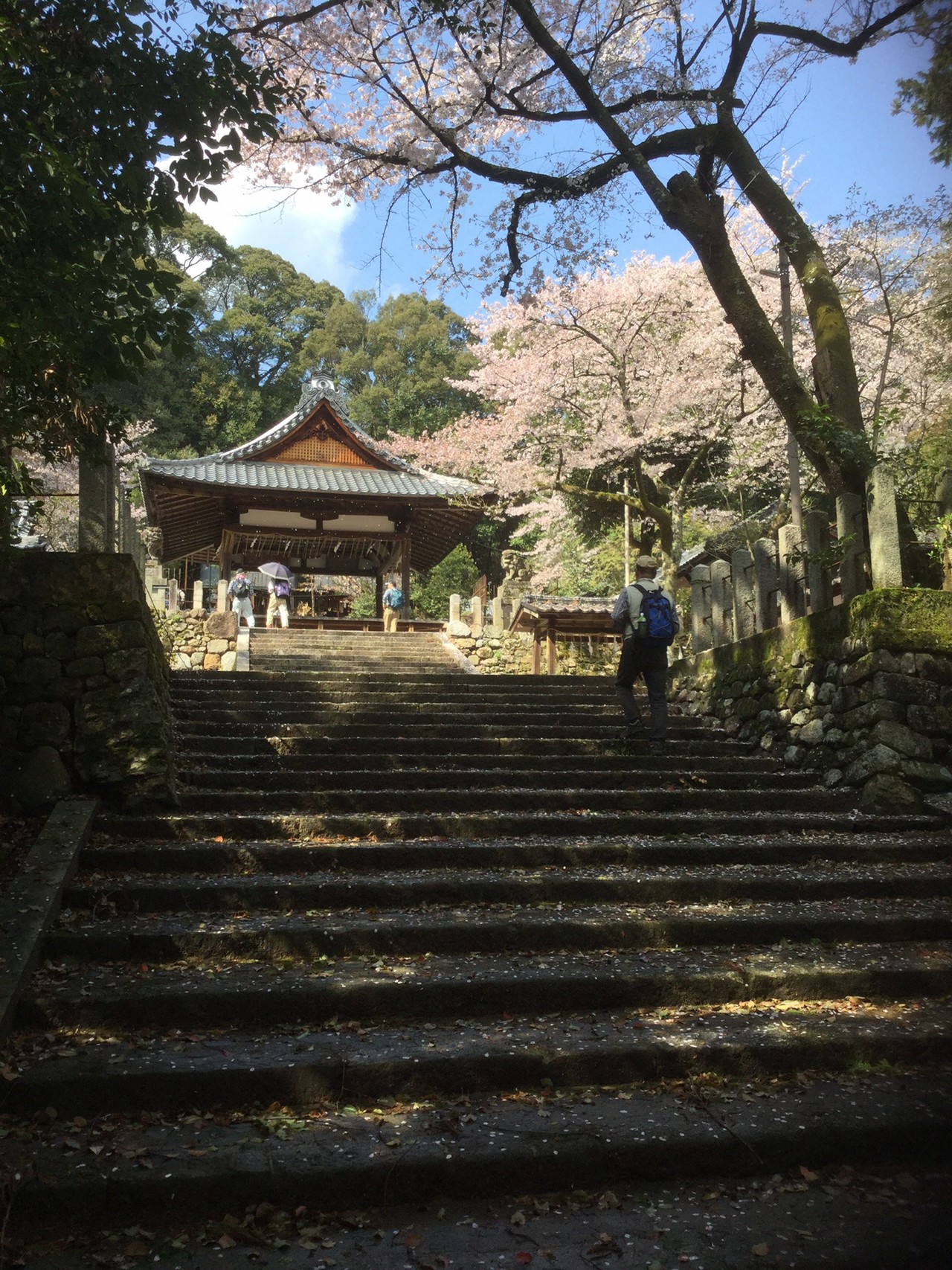 SKT例会(24名) 江文峠-岩倉 / SKTシルビアさんの桟敷ヶ岳・飯森山・天童山の活動データ | YAMAP / ヤマップ