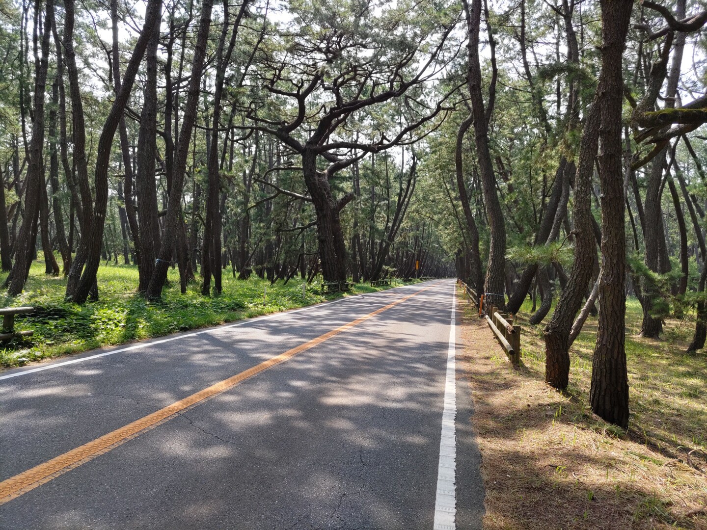唐津街道walk(深江〜唐津)、これで唐津街道完歩🎉 / yanさんの唐津市（唐津エリア）の活動データ | YAMAP / ヤマップ