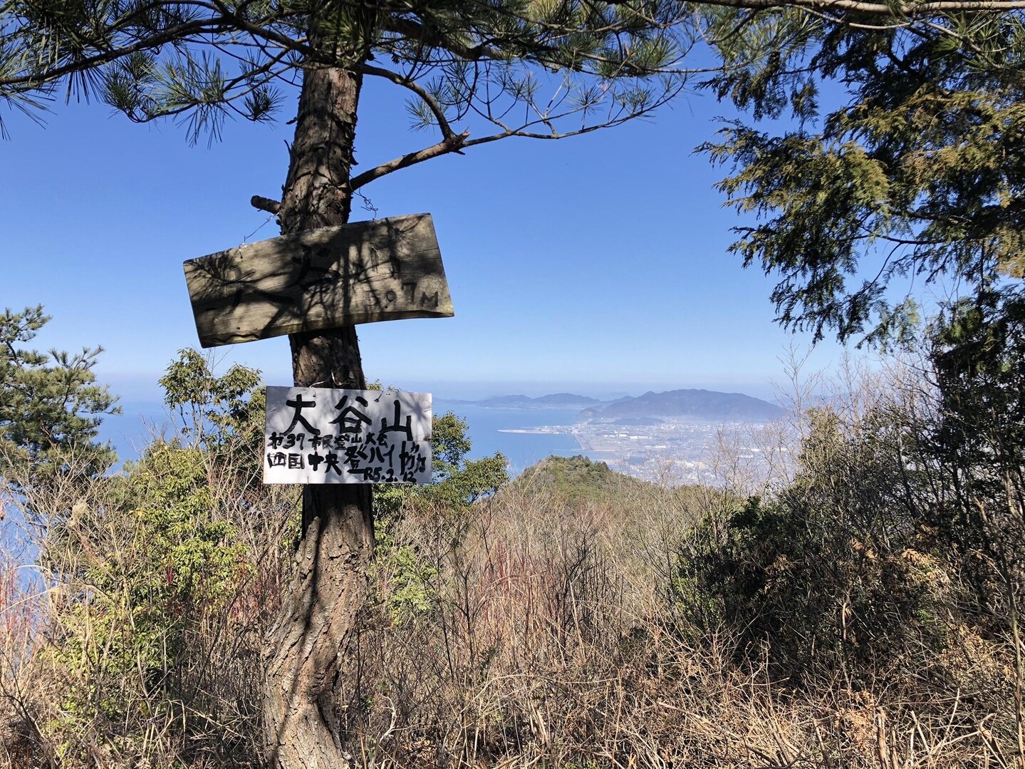 箕浦・大谷山 / mt. sugさんの雲辺寺山の活動日記 | YAMAP / ヤマップ