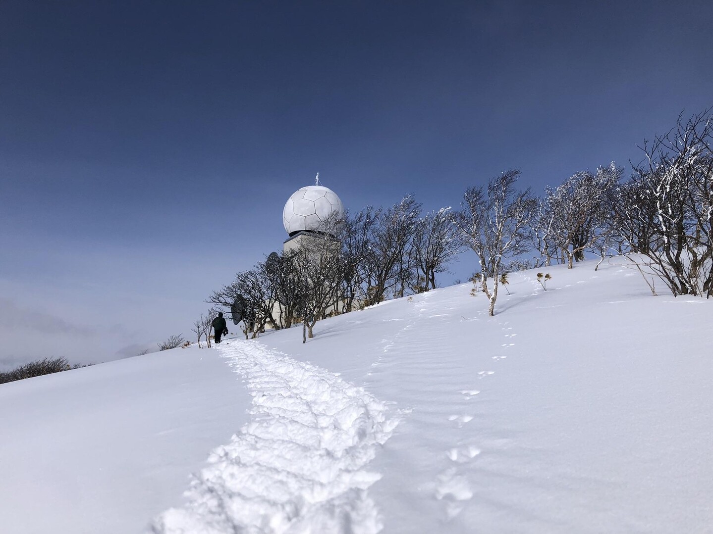西岳（奥中山高原スキー場）一戸町※動画あり / スノー@ystさんの七時雨山・田代山の活動データ | YAMAP / ヤマップ