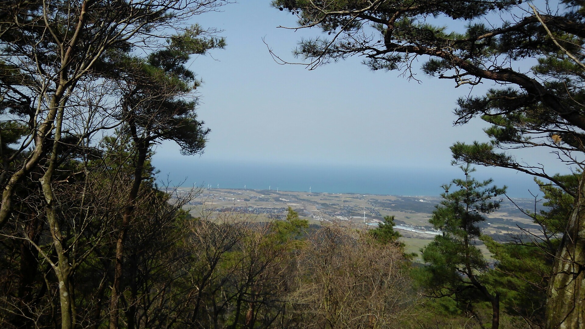 佐摩山-2020-03-21 / akkieさんの孝霊山・佐摩山の活動データ | YAMAP / ヤマップ