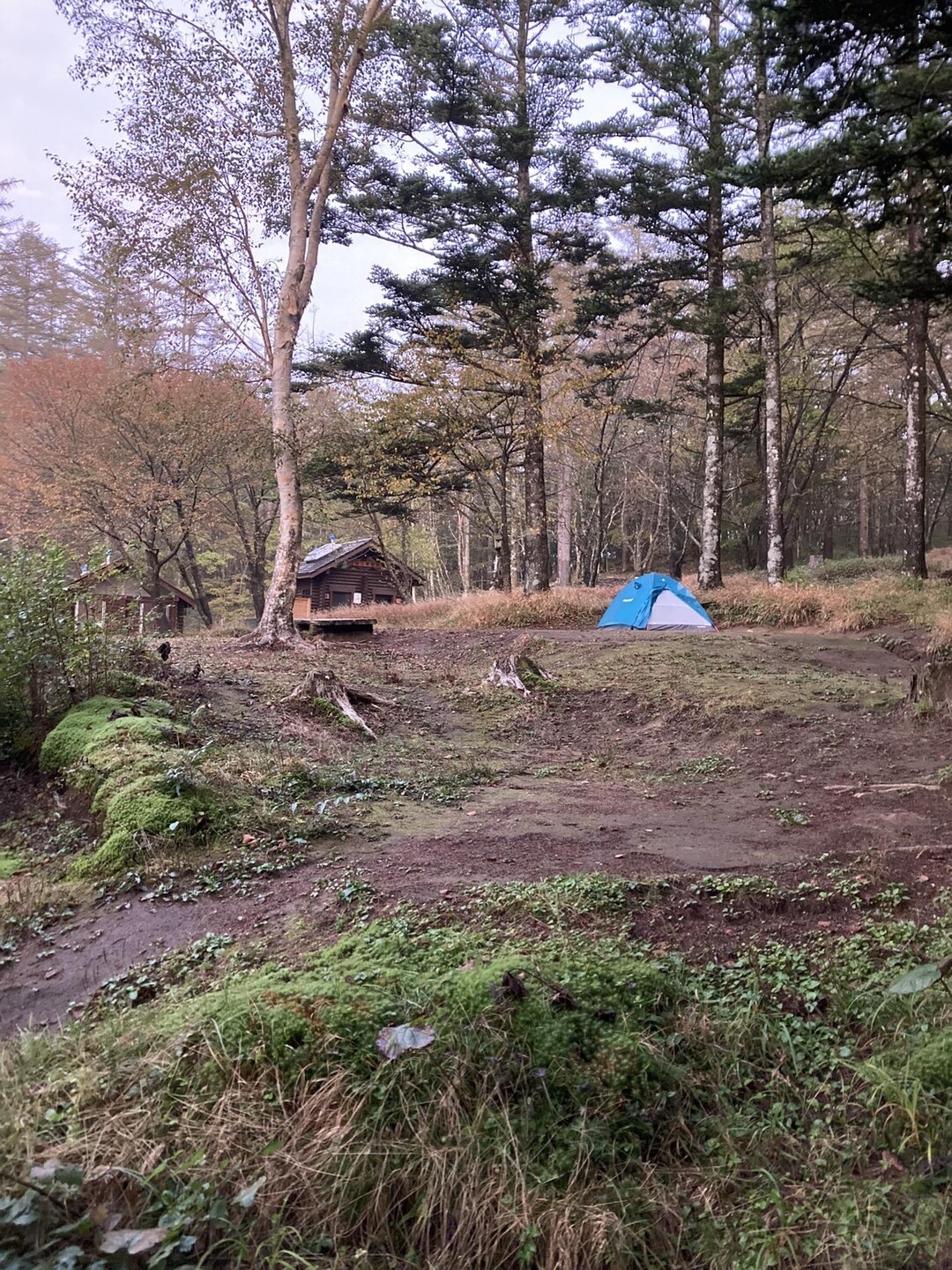 笠取山 テント泊 / 酔いどれ絵描き たかぎあきこさんの倉掛山・鈴庫山・小倉山の活動データ | YAMAP / ヤマップ
