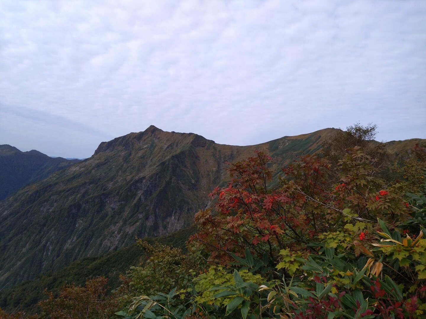 熊穴沢ノ頭・谷川岳（トマの耳）・谷川岳（オキノ耳） / TWOさんの谷川岳・七ツ小屋山・大源太山の活動データ | YAMAP / ヤマップ