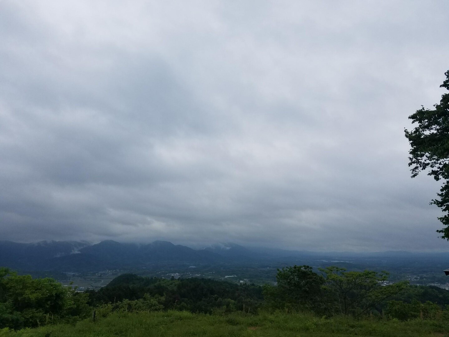 雨の那岐DNFから神楽尾-2023-05-14 / おーちゃんさんの泉山・井水山・黒沢山の活動データ | YAMAP / ヤマップ
