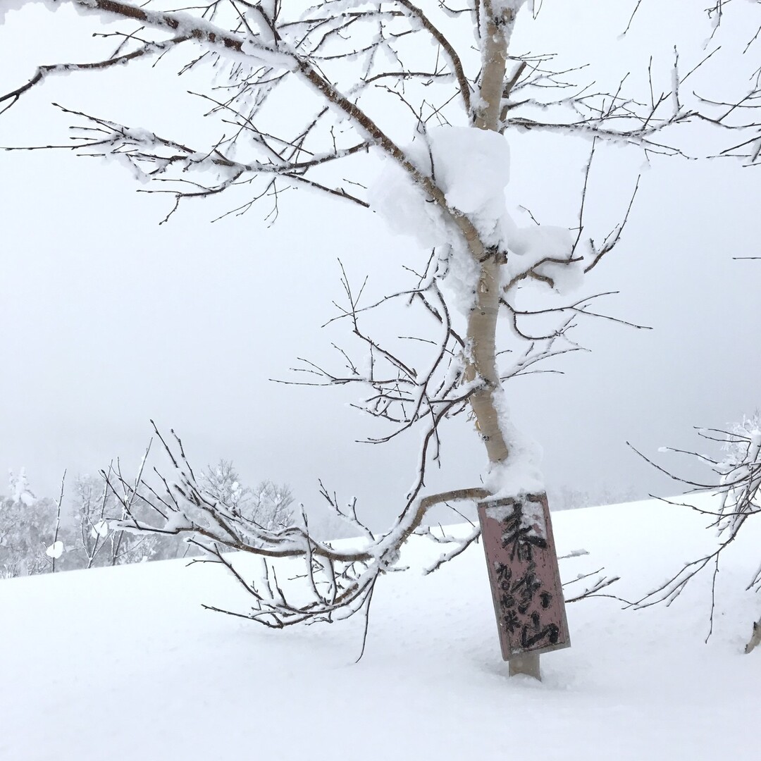 春香山BC / bono.さんの春香山・銭函峠・銭函天狗山の活動データ | YAMAP / ヤマップ